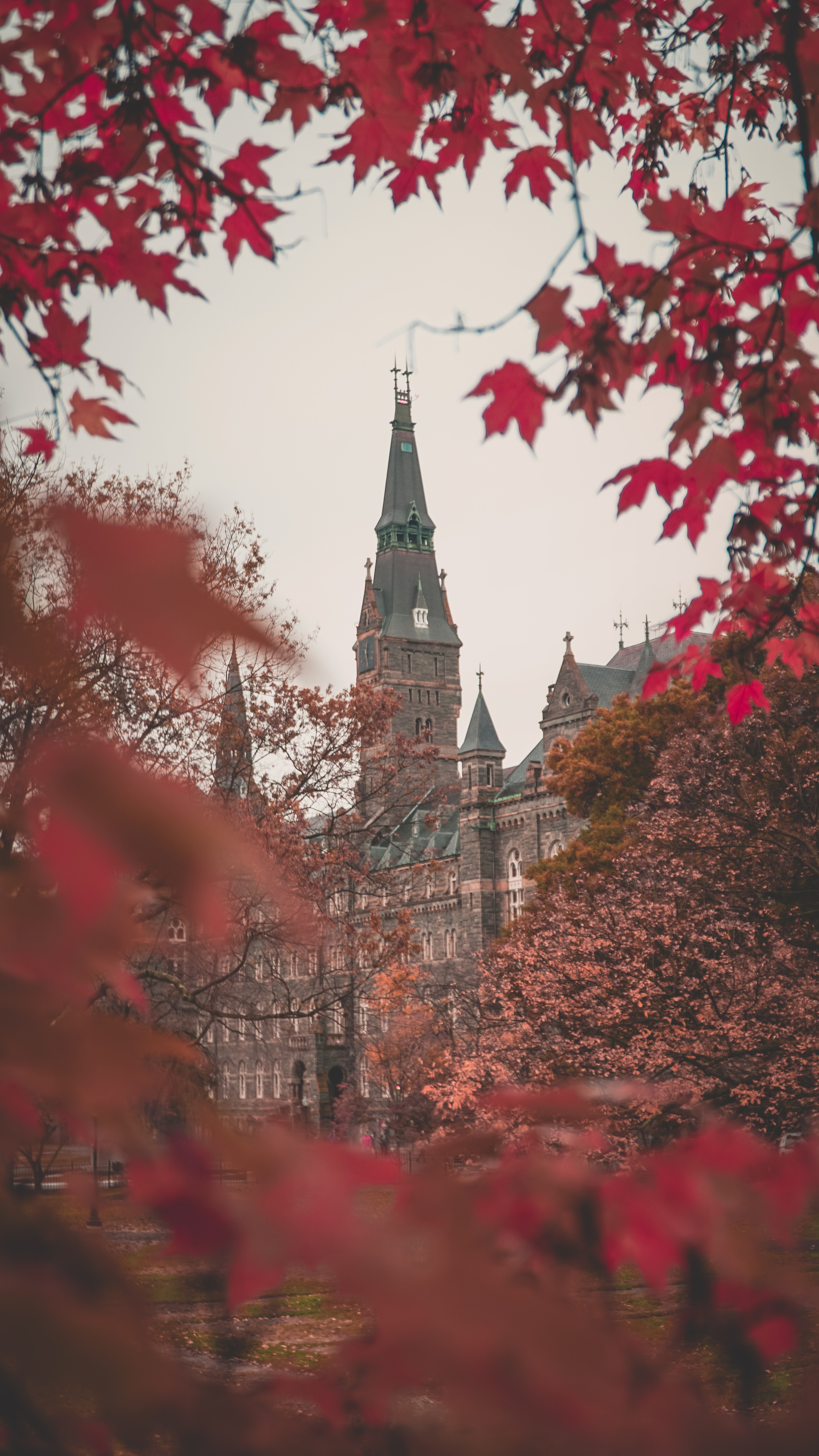 The Anthem Fall 2019 Edition – The Georgetown Anthem